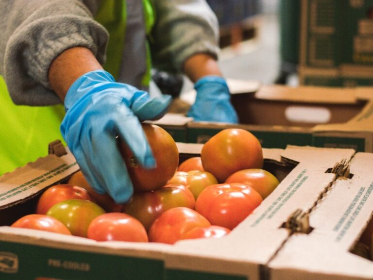 The Farm to Table Movement: Bringing Freshness and Sustainability to ...